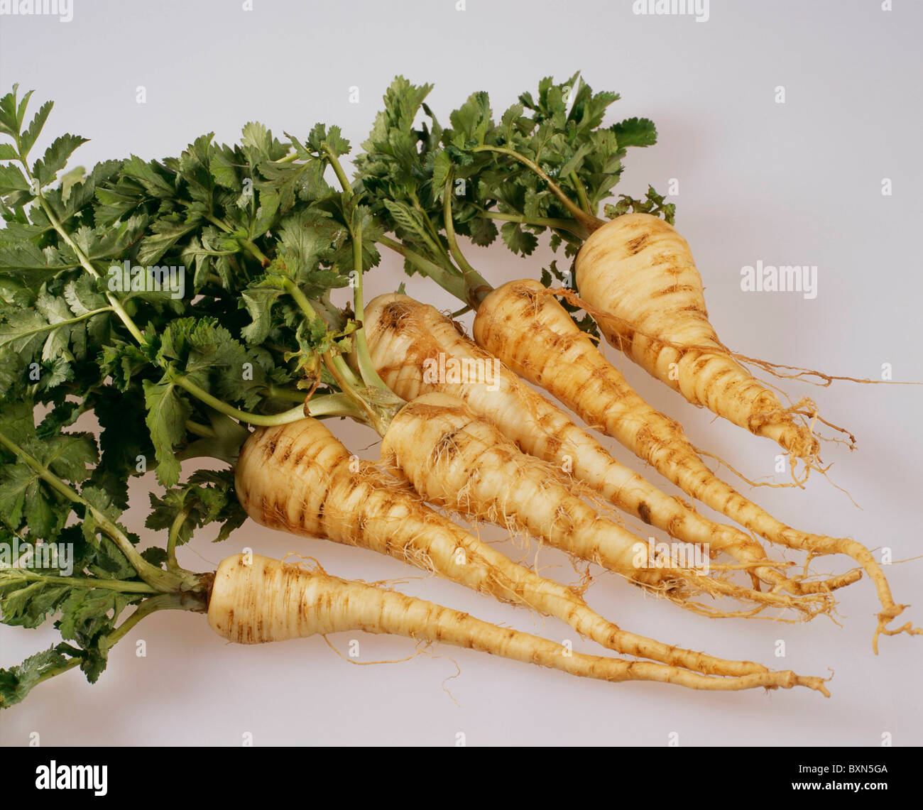 Hollow crown hi-res stock photography and images - Alamy