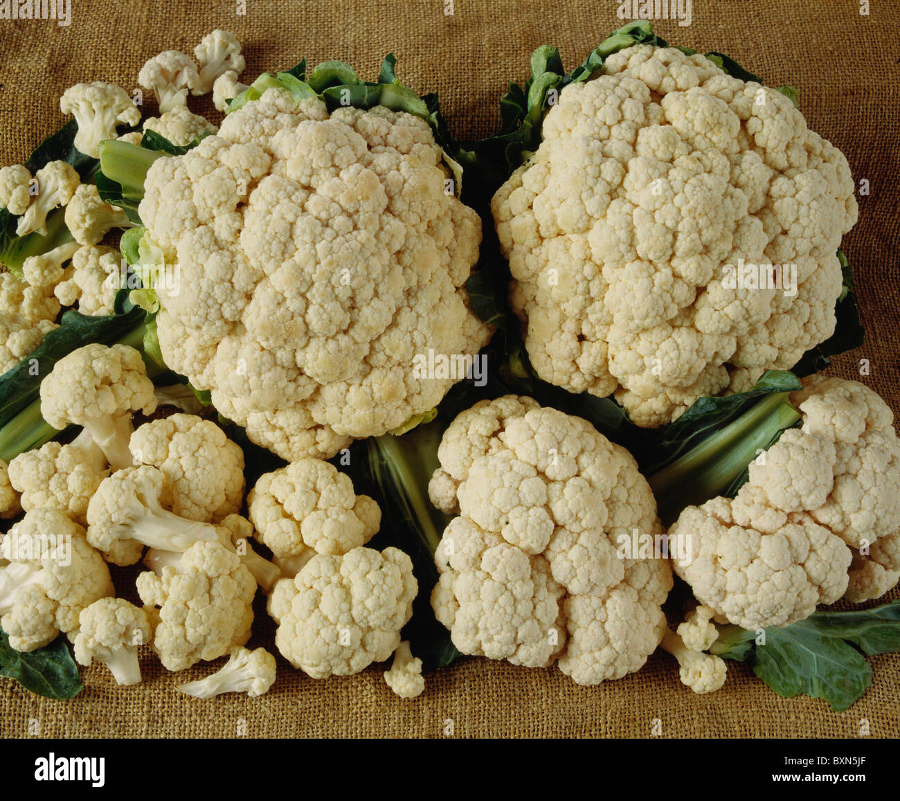 Whole fresh cauliflower florets hi-res stock photography and images - Alamy