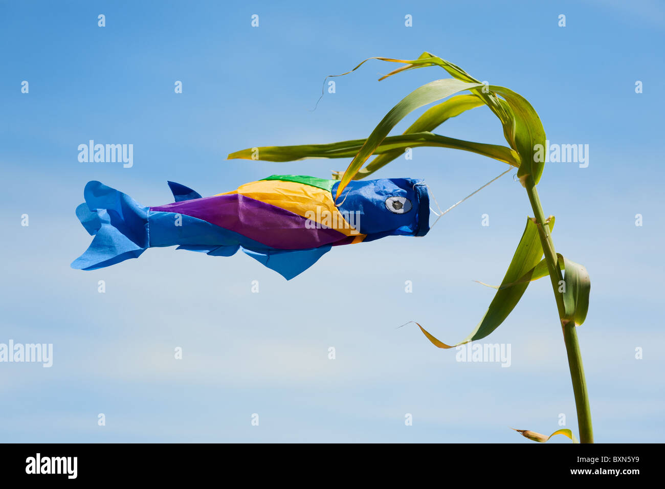 Toy wind fish on a bamboo stick Stock Photo - Alamy