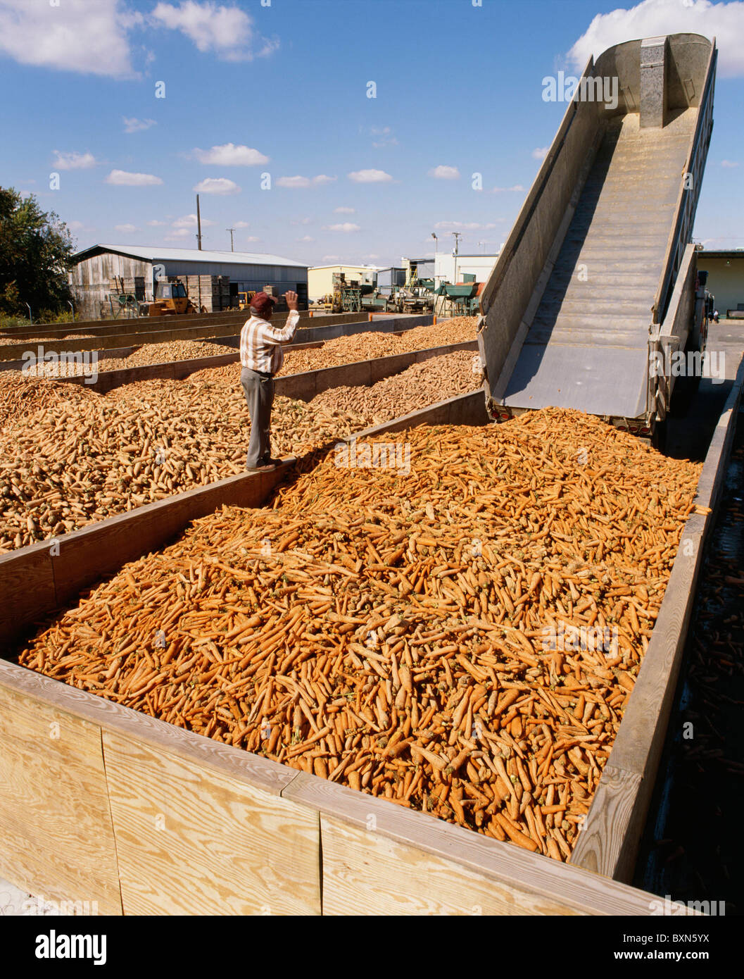 Vegetable unload truck hi-res stock photography and images - Alamy