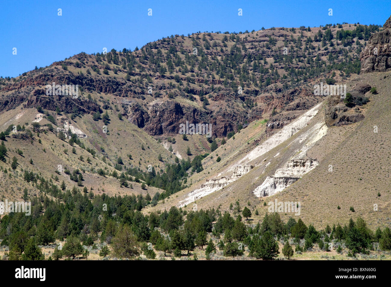 Overlooking Sheep Rock at the John Day Fossil Beds National Monument in ...