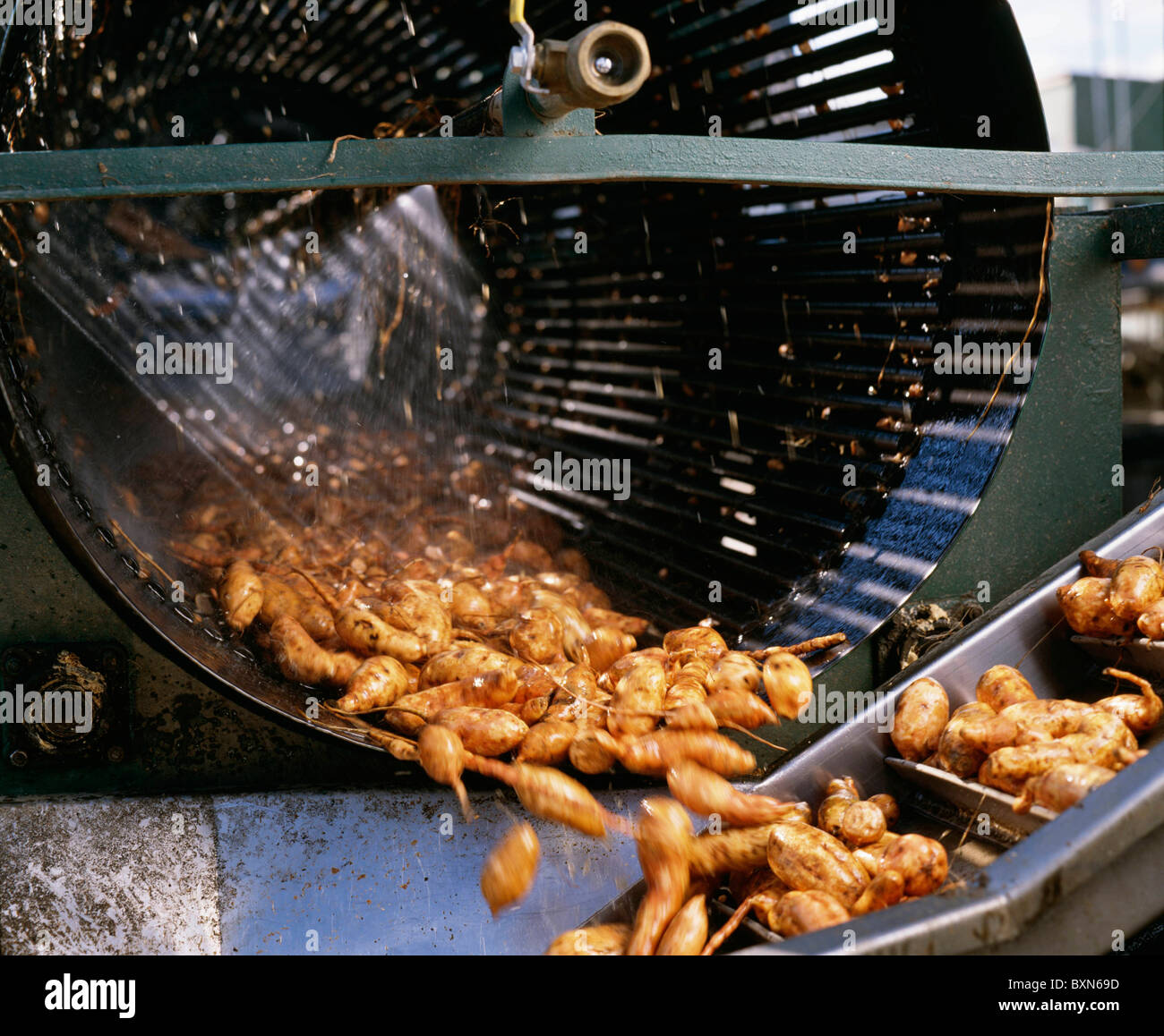 Potato factory water spraying hi-res stock photography and images - Alamy
