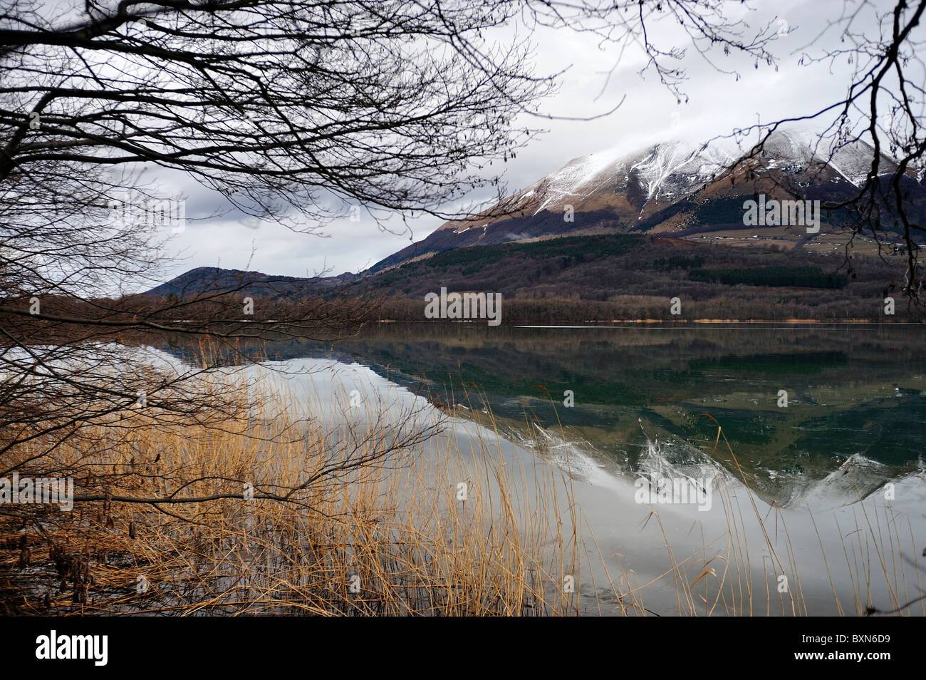 Reflections on water Stock Photo - Alamy