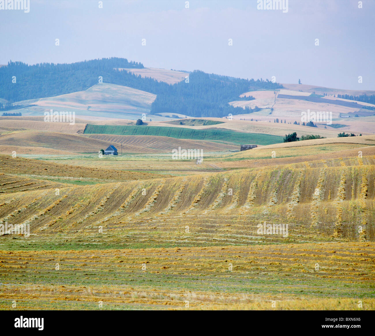 Windrowed hi-res stock photography and images - Alamy