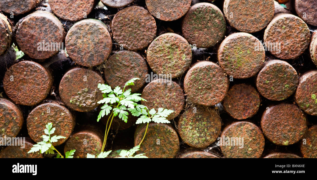 Shell First World War High Resolution Stock Photography and Images - Alamy