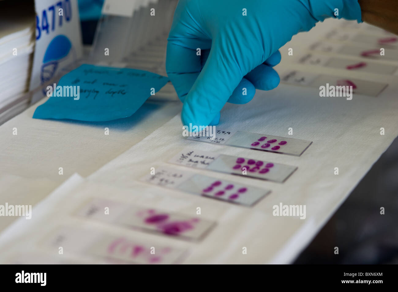Science lab school hi-res stock photography and images - Alamy