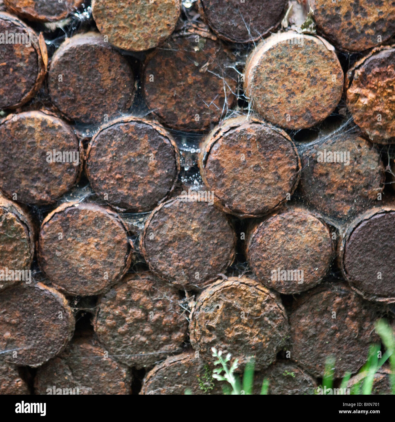 Shell Cases High Resolution Stock Photography and Images - Alamy