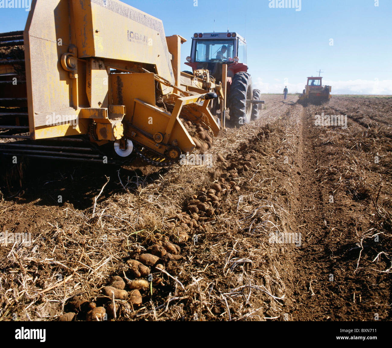Idaho potato field hi-res stock photography and images - Alamy