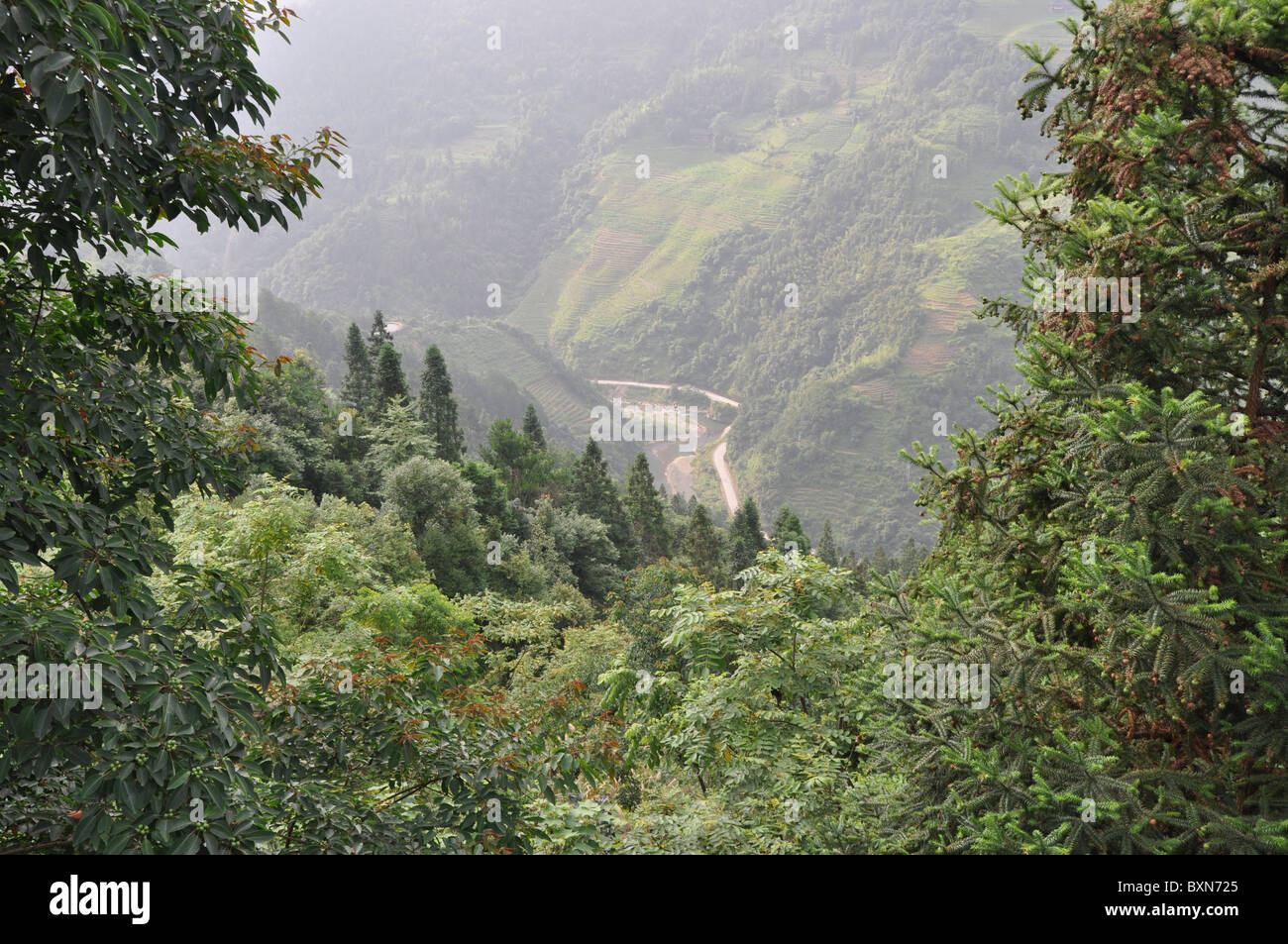 Narrow valley hi-res stock photography and images - Alamy