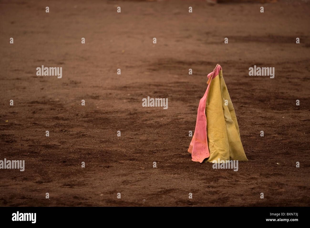 Bullfighting mexico city mexico hi-res stock photography and images - Alamy