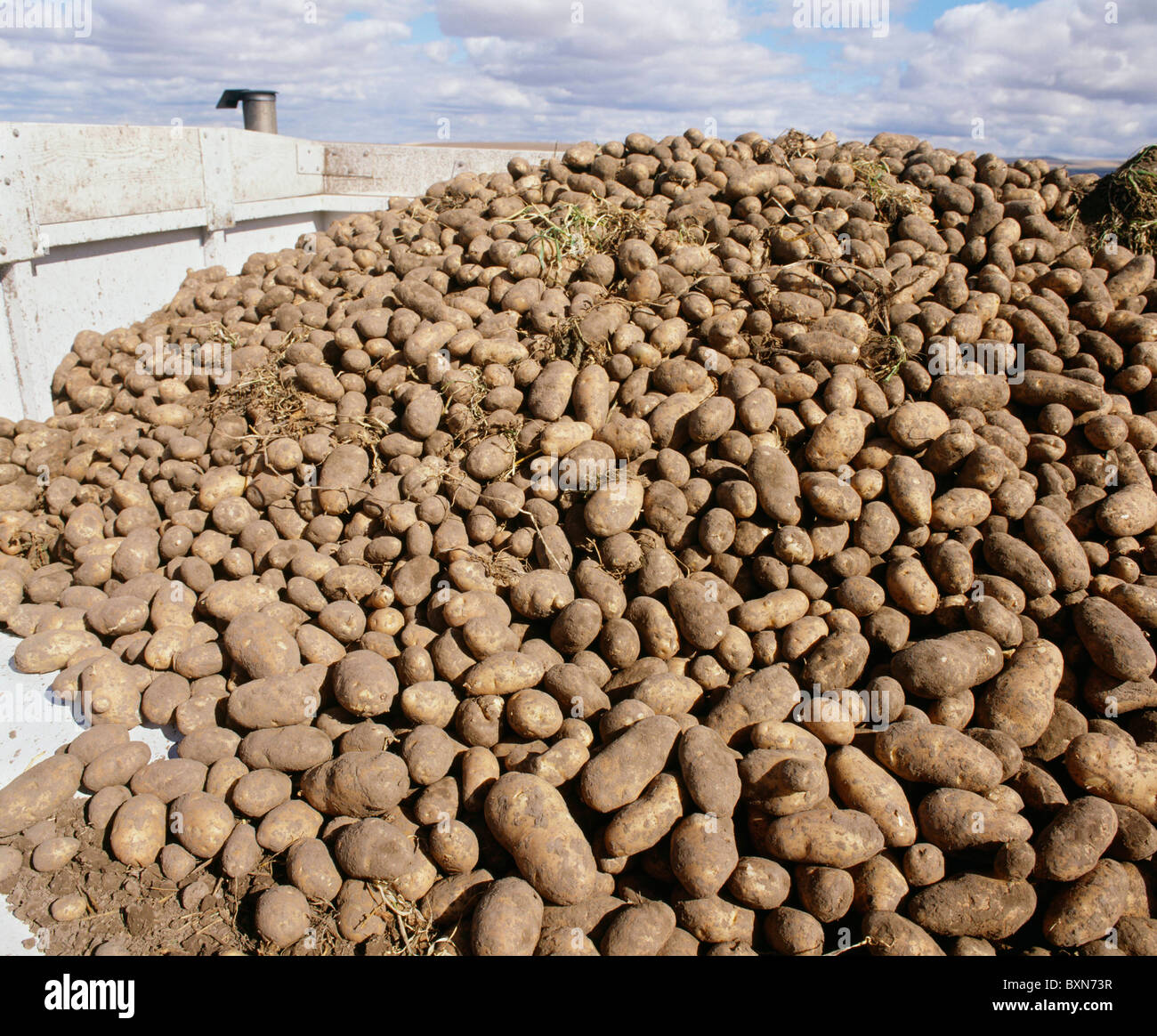 Idaho potato farming hi-res stock photography and images - Alamy