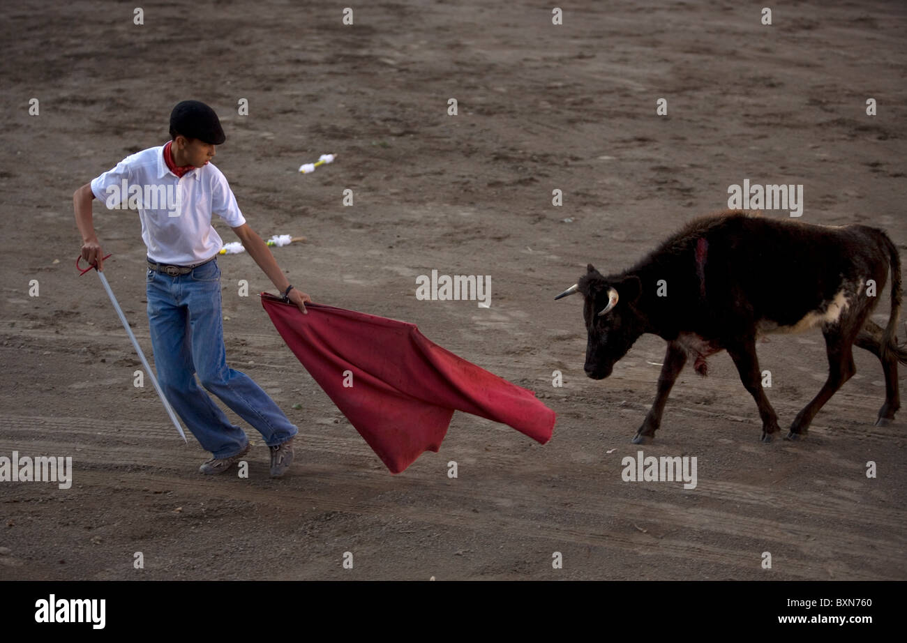 Bullfighting bull running hi-res stock photography and images - Alamy