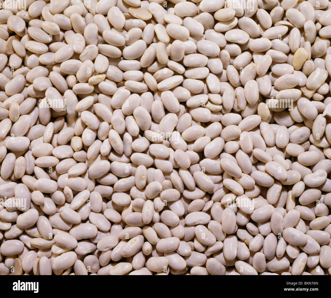 Great northern bean hi-res stock photography and images - Alamy