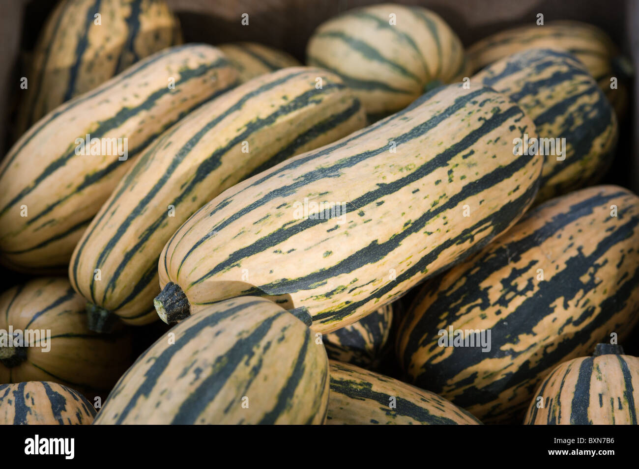 Produce farm hi-res stock photography and images - Alamy