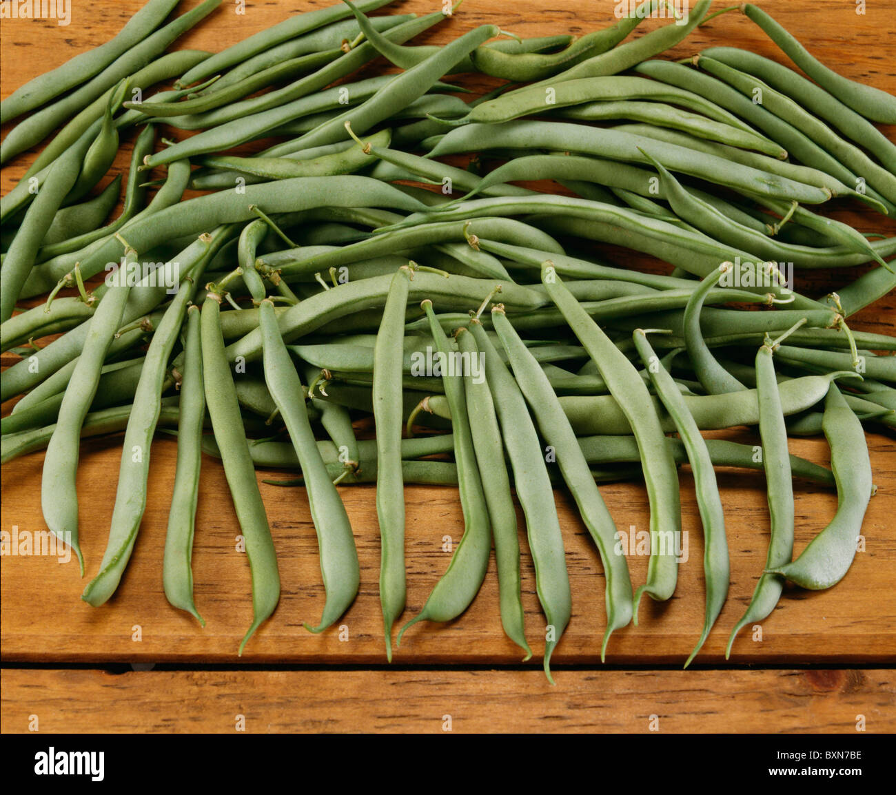 FRENCH SHELL BEAN STUDIO Stock Photo - Alamy