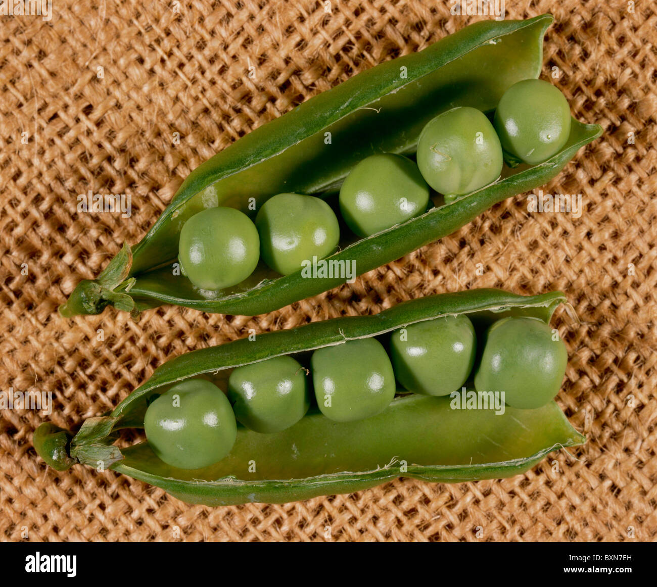 Extra early peas hi-res stock photography and images - Alamy