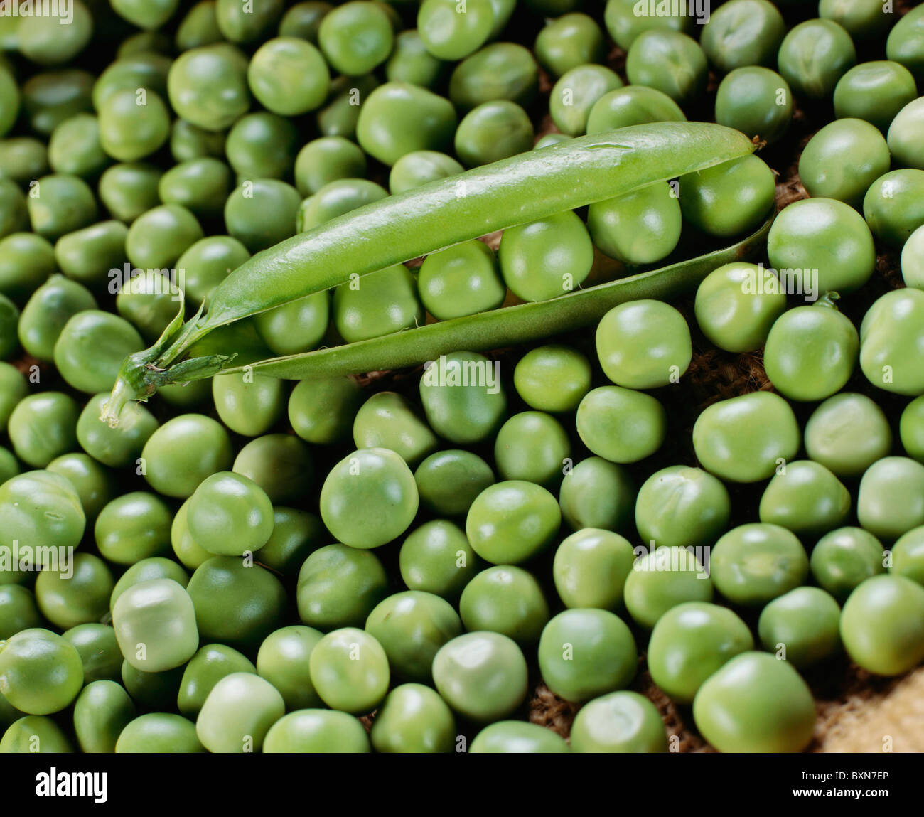 Little Marvel High Resolution Stock Photography and Images - Alamy