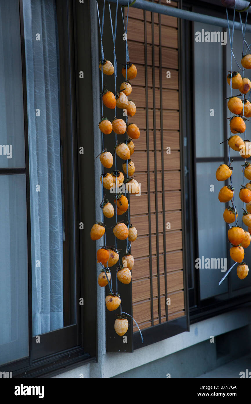 Persimmones dryed to be preserved for the winter in Nikko, Japan Stock ...