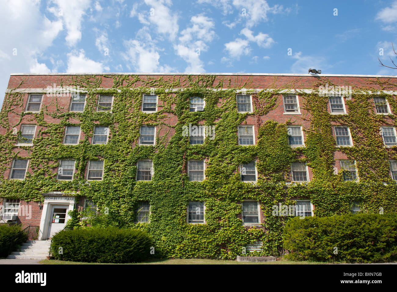 Ivy covered building Stock Photo - Alamy