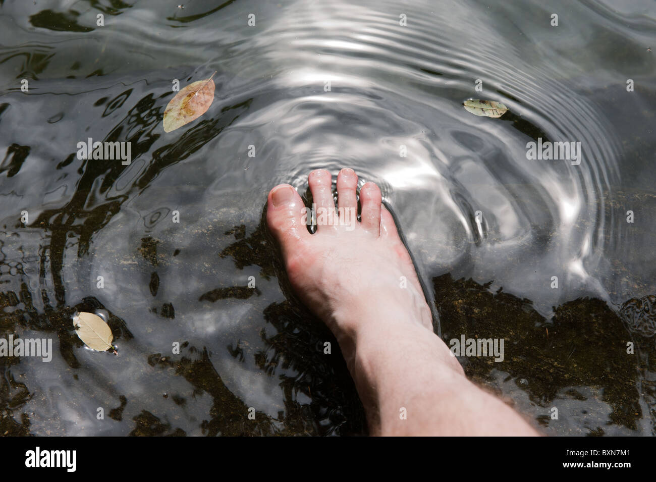 Toes in water of Walden Pond Stock Photo - Alamy