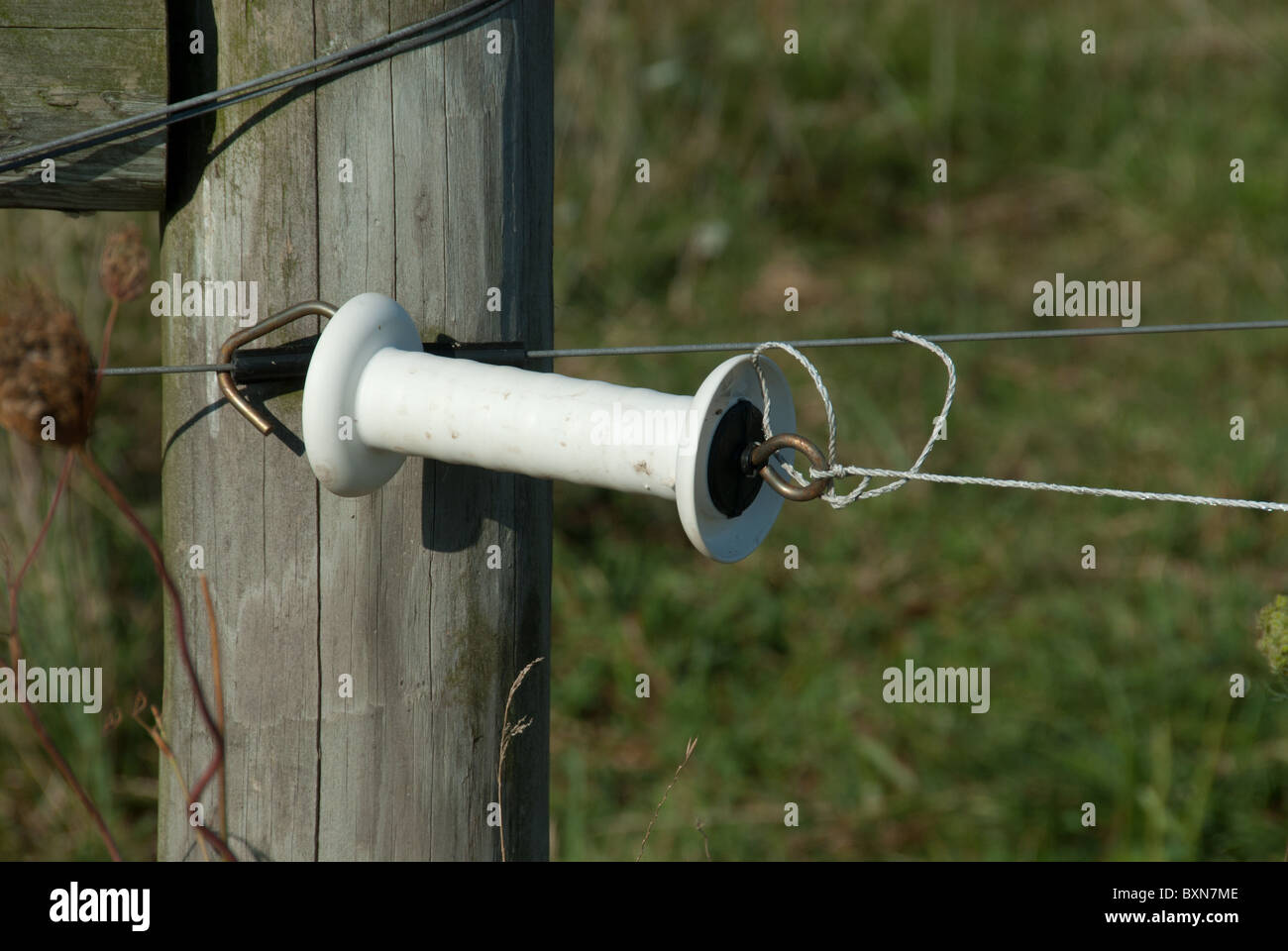 Electric fence gate Stock Photo - Alamy