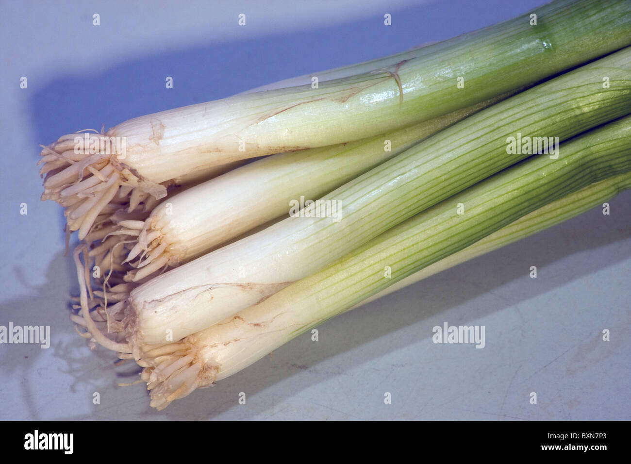 bunch of spring onions Stock Photo - Alamy