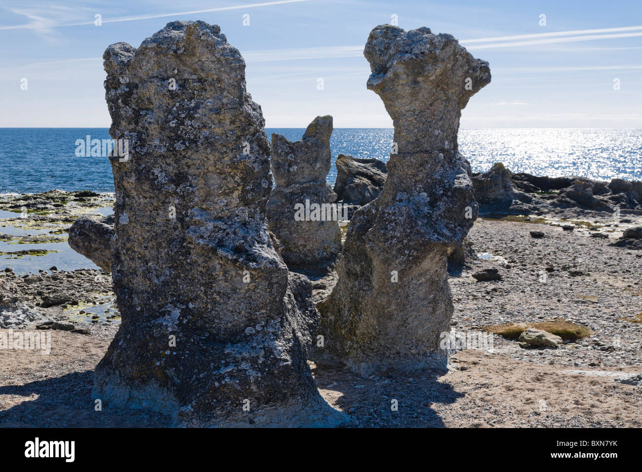 Limestone formations, sea-stacks in Folhammar, Gotland, Sweden Stock ...