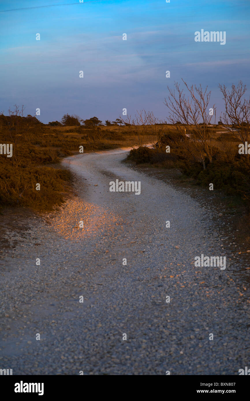 White limestone road on a moor on Gotland, Sweden Stock Photo - Alamy