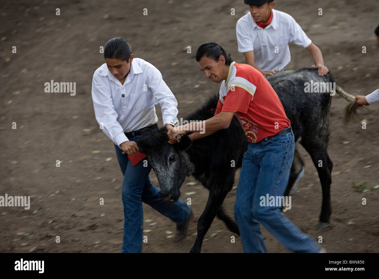 Apprentice bullfighter hi-res stock photography and images - Alamy