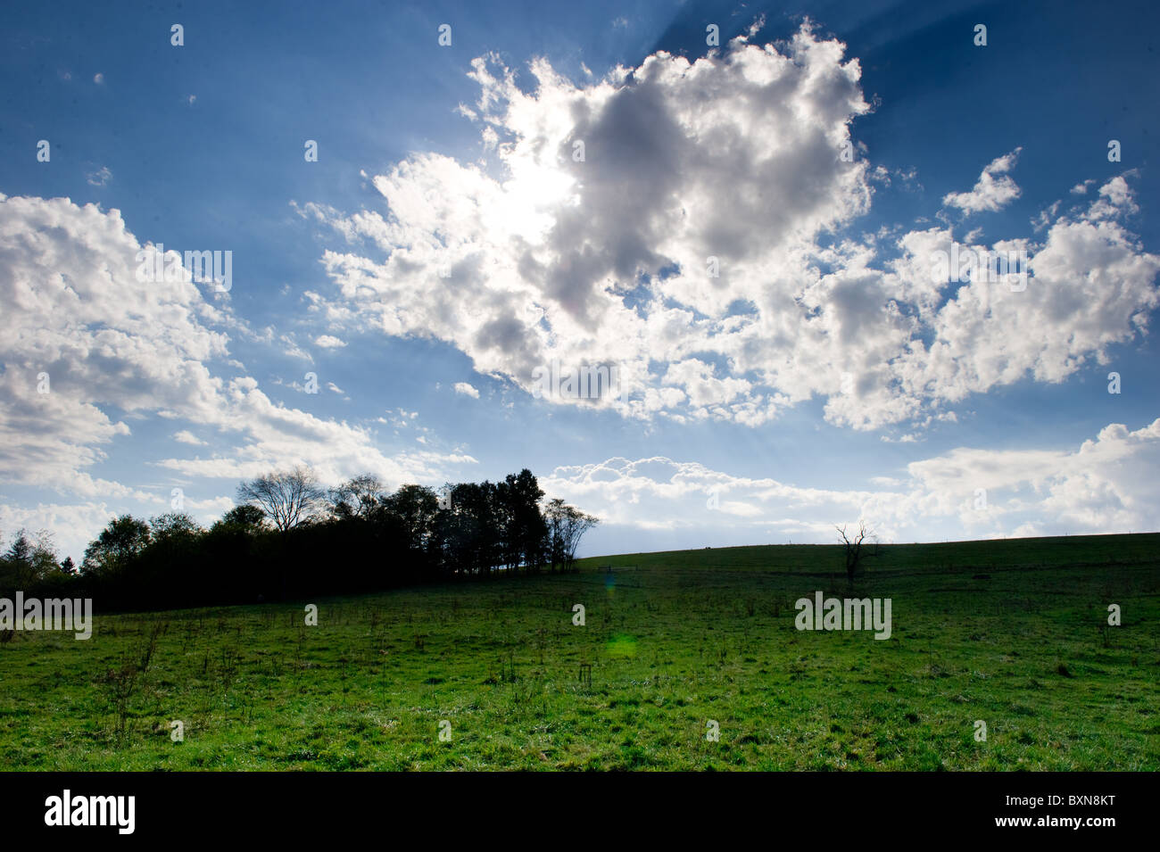 Blue sky landscape Stock Photo - Alamy