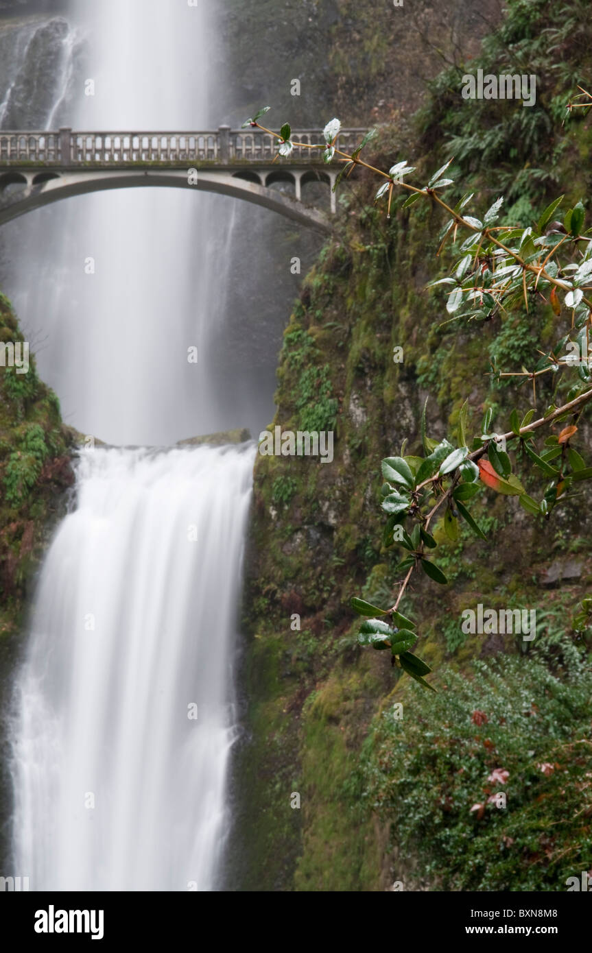 Multnomah falls, portland oregon hi-res stock photography and images ...