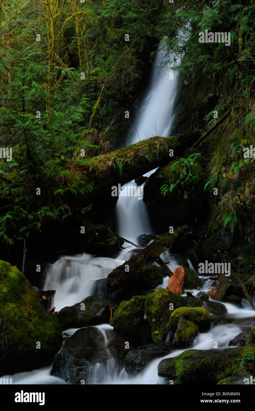 Merriman Falls South Shore Road Lake Quinaul Stock Photo - Alamy