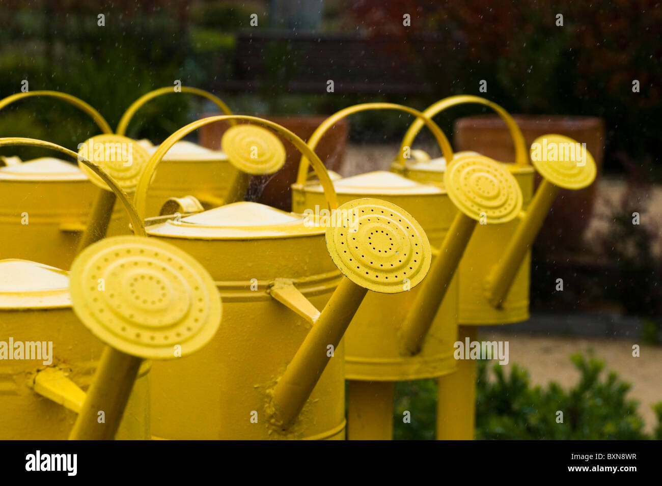 Watering can yellow hi-res stock photography and images - Alamy