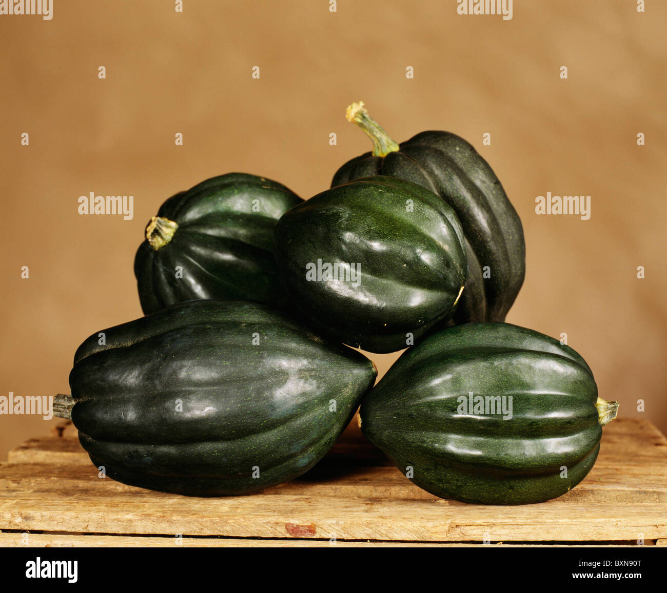 Squash cucurbita sp hi-res stock photography and images - Alamy