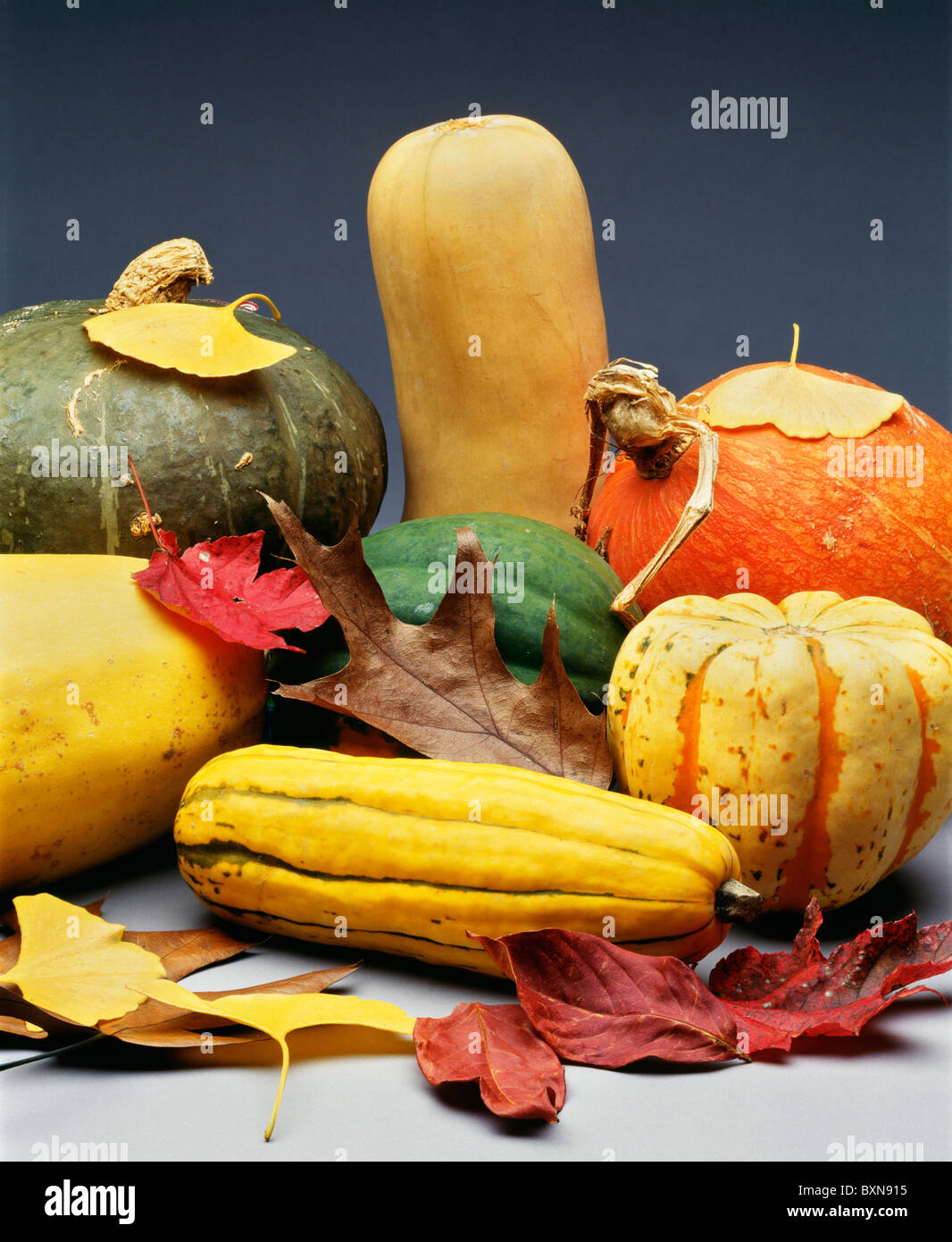 SQUASH LEFT TO RIGHT: SPAGHETTI, KABOCHA, DELECATA (STRIPE DOWN FRONT ...