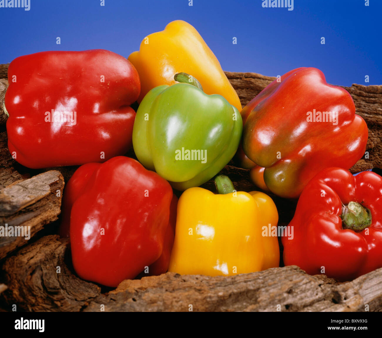 ASSORTED SWEET PEPPERS INCLUDING 'CALIFORNIA WONDER', GOLDEN SUMMER ...