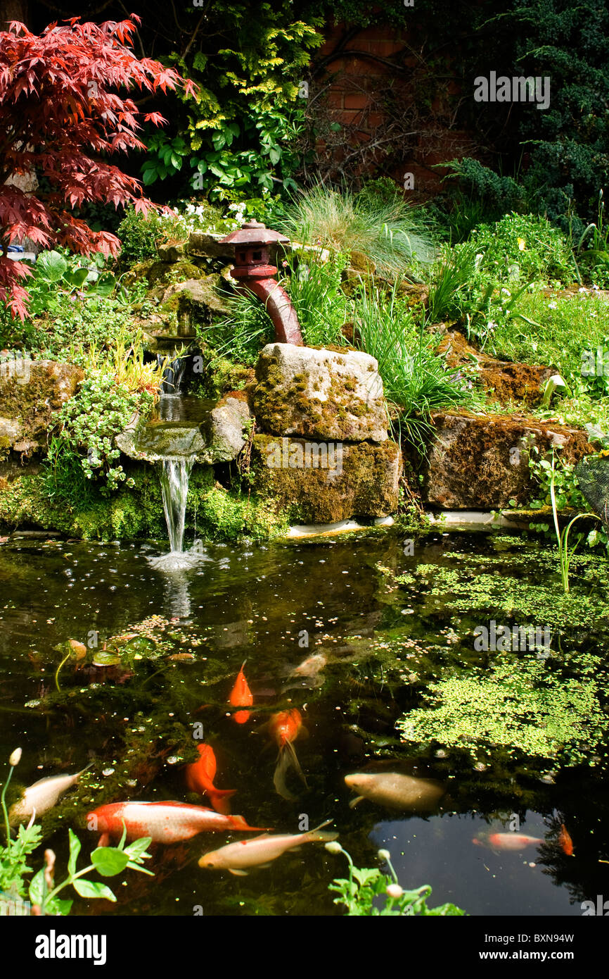 Garden pond and rockery Stock Photo - Alamy