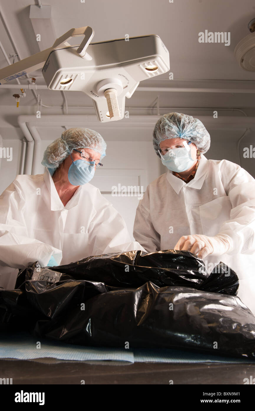 Autopsy hi-res stock photography and images - Alamy