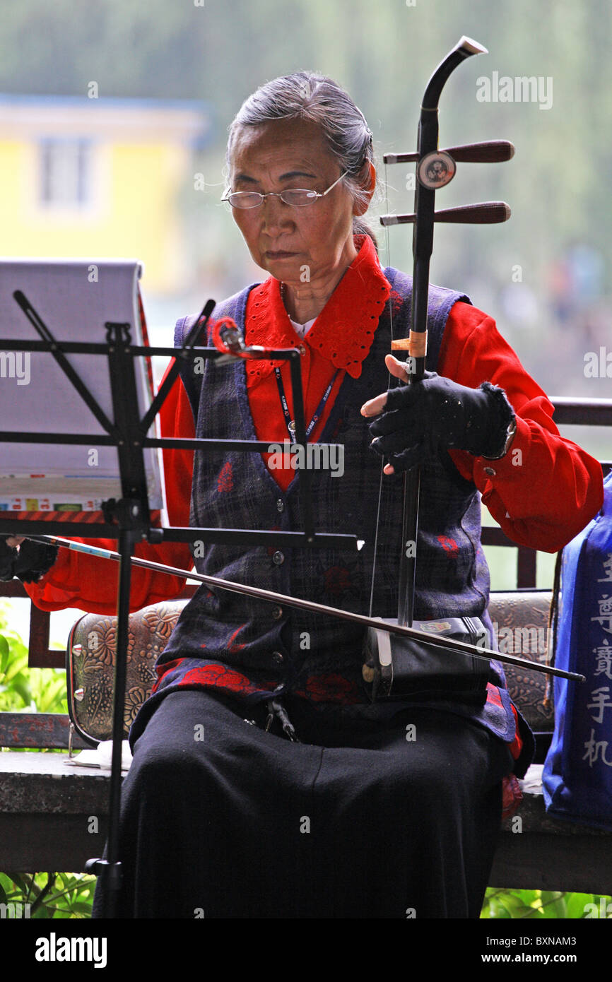 Playing traditional stringed instrument hi-res stock photography and ...