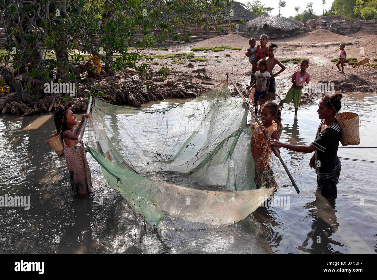 Timor leste hi-res stock photography and images - Alamy
