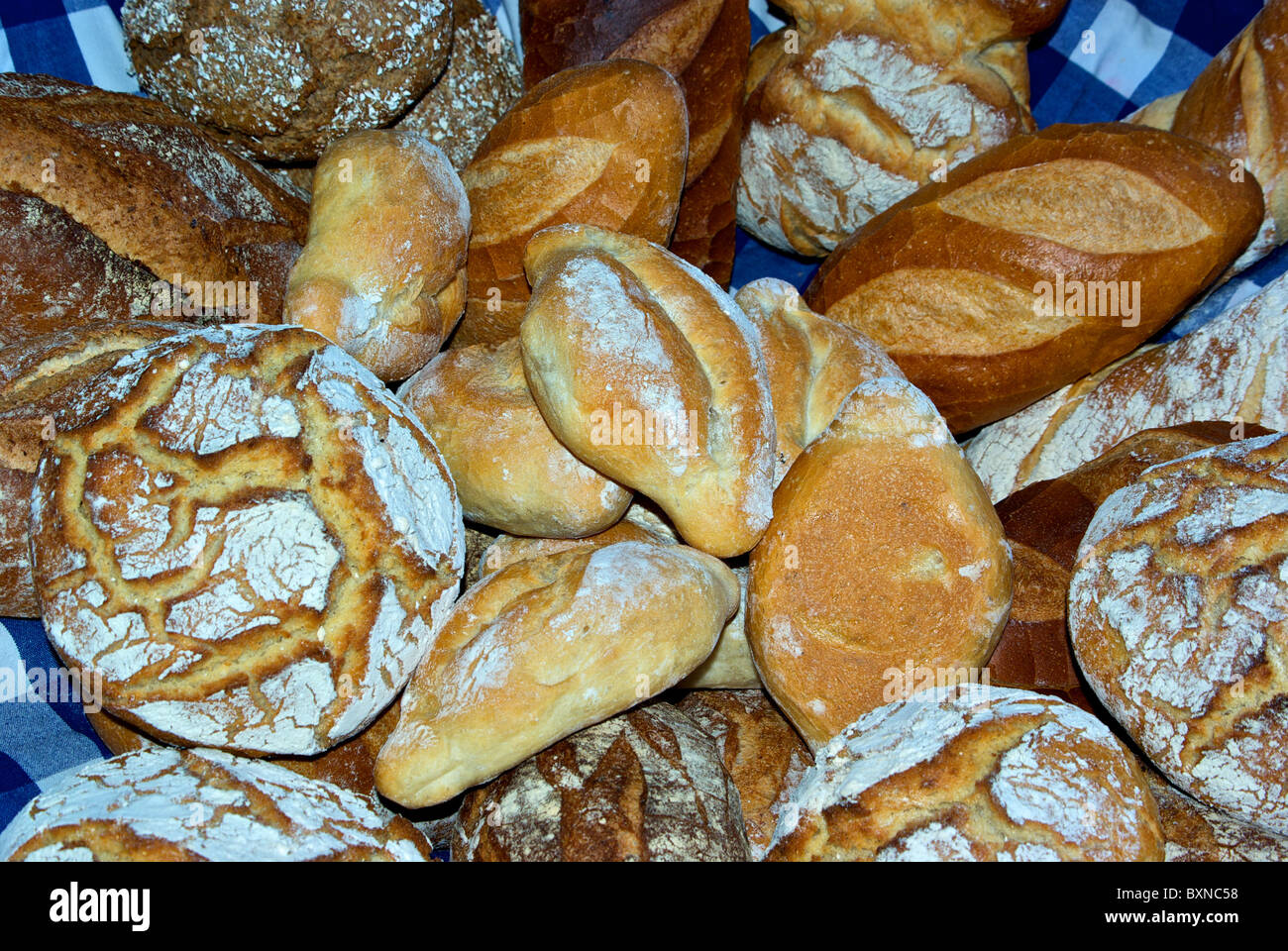Assorted varieties of loaves freshly baked crusty breads buns bakery ...