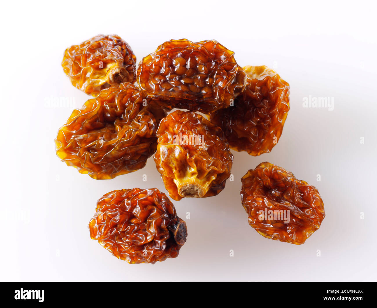 Dried Incan Berry - also known as Cape Gooseberry, agauaymanto berries ...