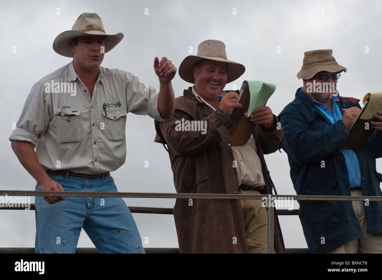 Auctioneer at work at the weekly cattle sales in the stock yards at ...
