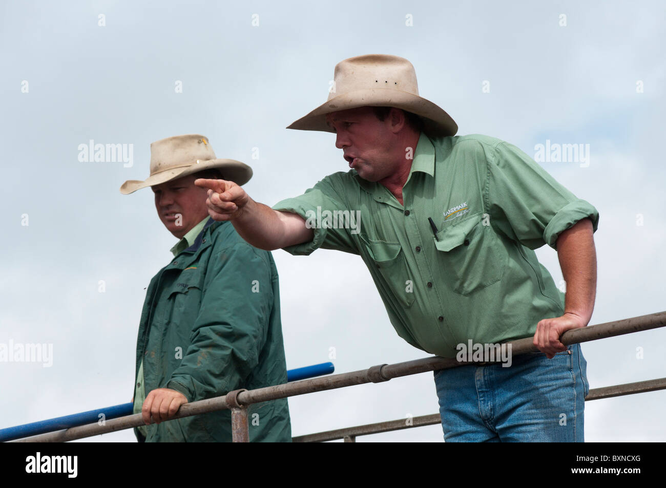 Livestock saleyards australia hi-res stock photography and images - Alamy