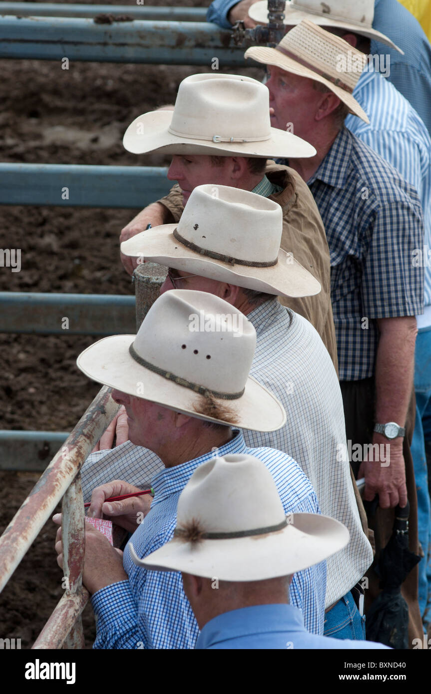 Livestock saleyards australia hi-res stock photography and images - Alamy