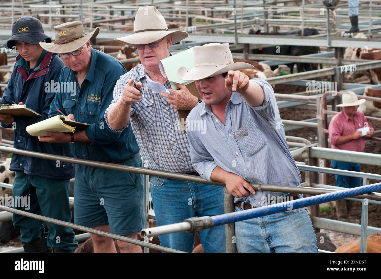 Livestock saleyards australia hi-res stock photography and images - Alamy