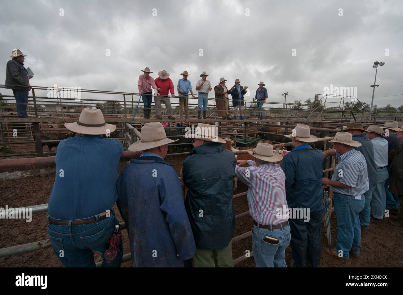 Gunnedah australia hi-res stock photography and images - Alamy