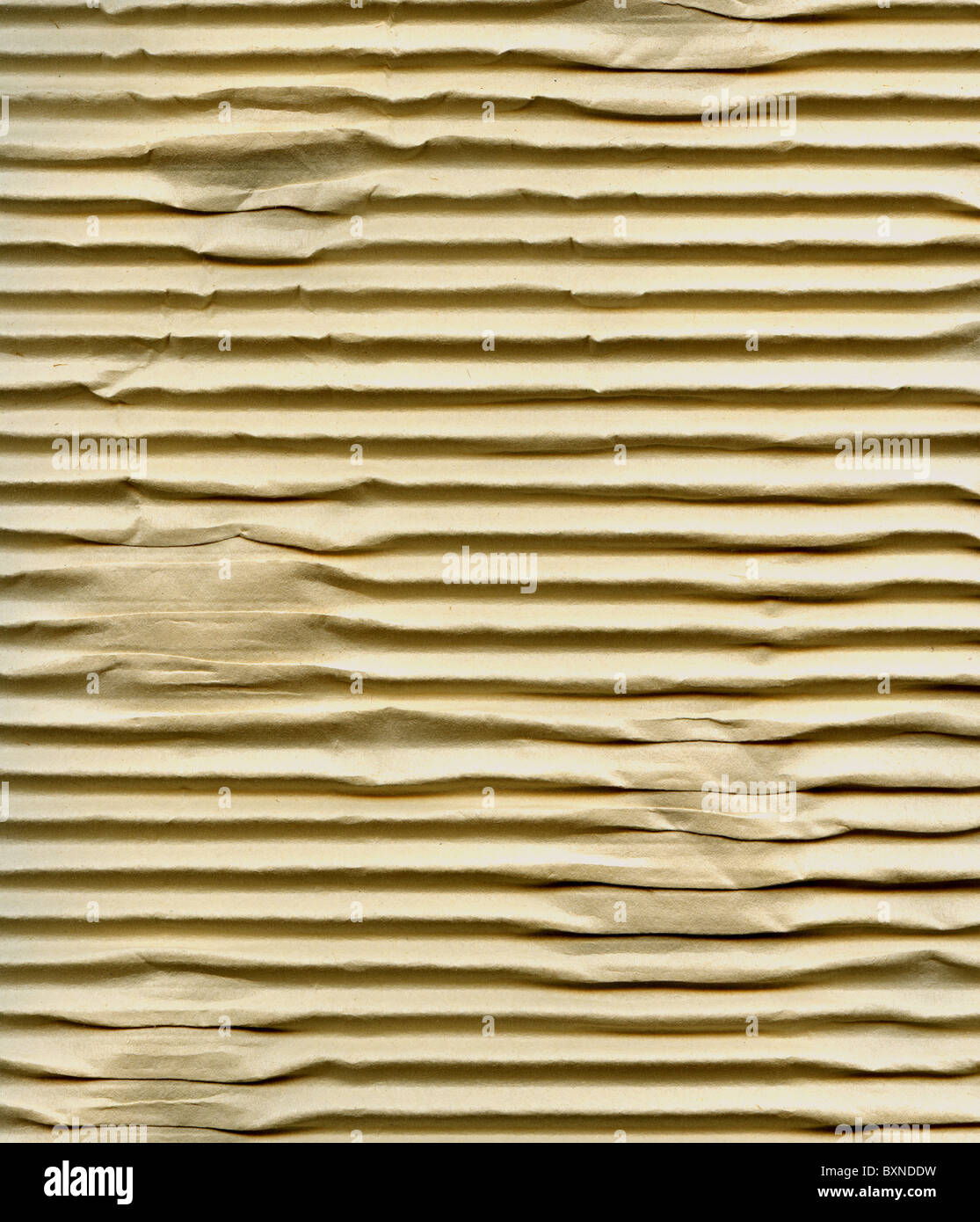 Textured corrugated striped cardboard with natural fiber parts Stock ...