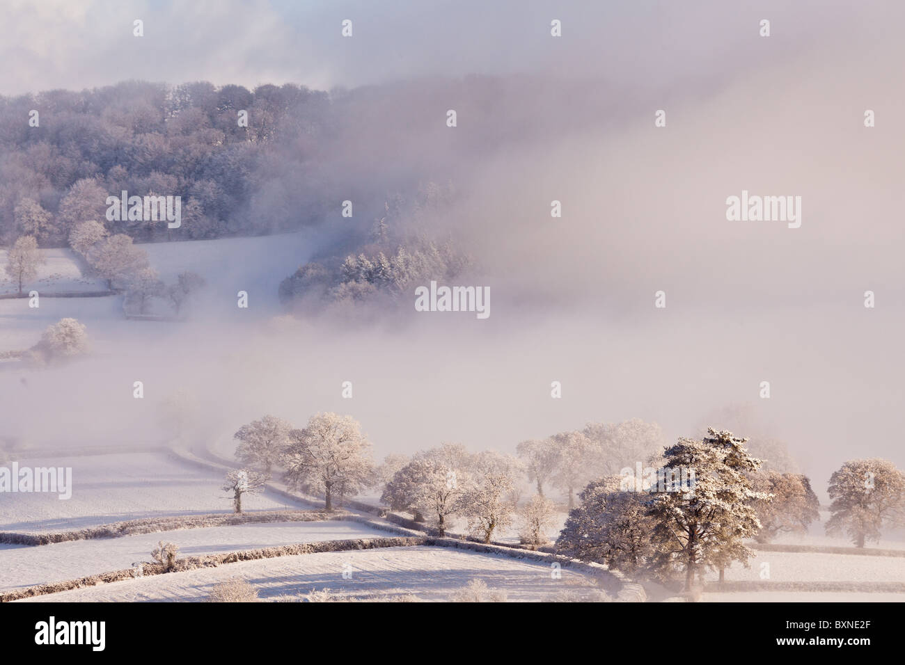 Devon snow hi-res stock photography and images - Alamy