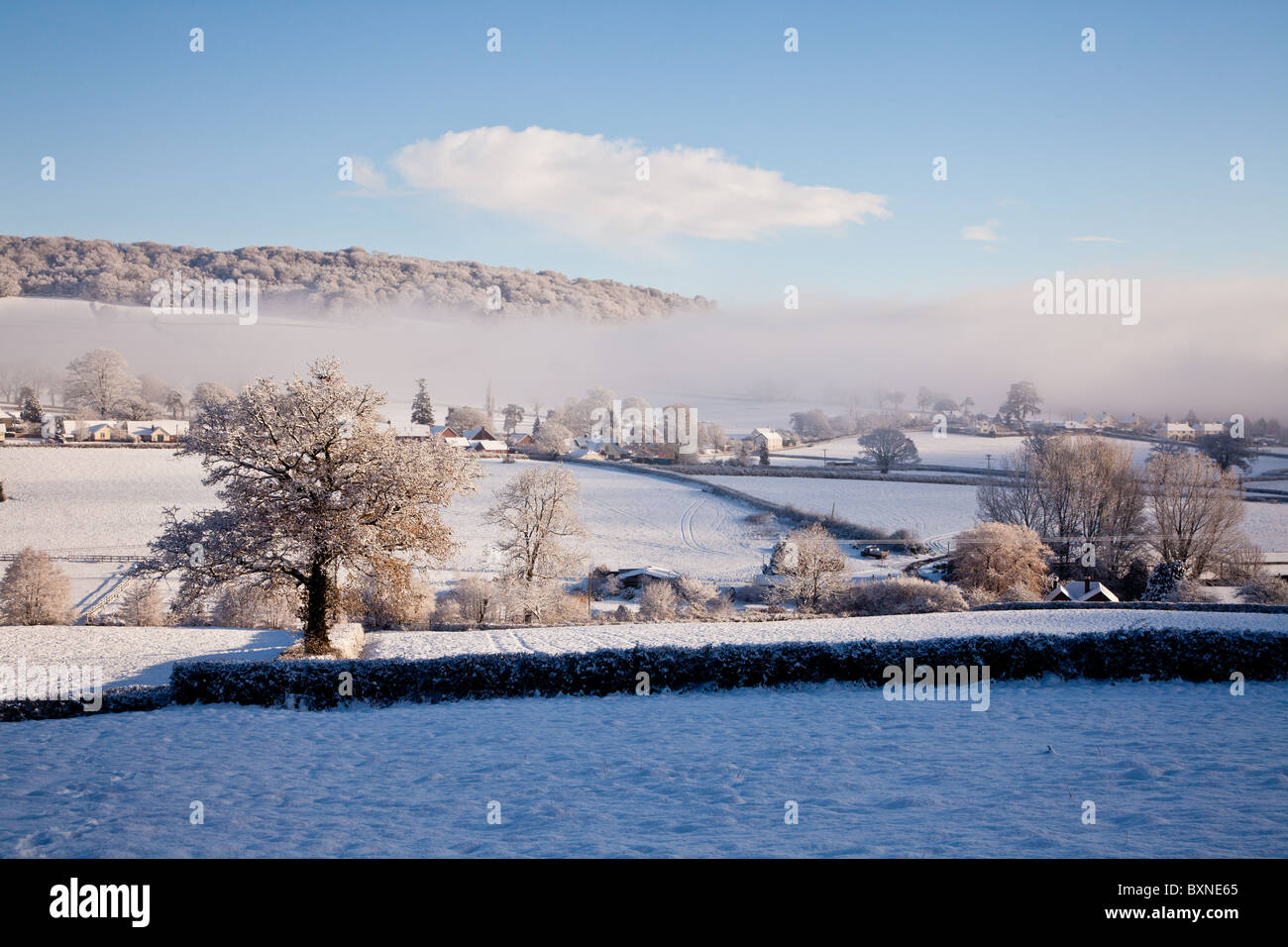 Rural devon hi-res stock photography and images - Alamy